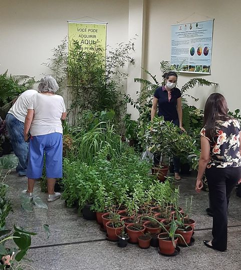 Horto Medicinal da Unipar promove 16ª Exposição de Plantas Horto Medicinal da Unipar promove 16ª Exposição de Plantas